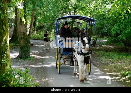 KILLARNEY, IRELAND - MAY 24: Horse and Carriage ride in Killarney ...