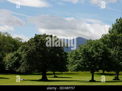 KILLARNEY, IRELAND - MAY 24: Horse and Carriage ride in Killarney ...