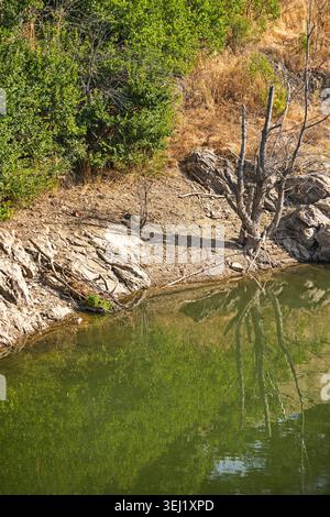 Eroded shoreline with exposed roots, green and dry vegetation, rocks ...