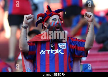 Palace fan during the Crystal Palace v Rayo Vallecano UEFA Conference ...