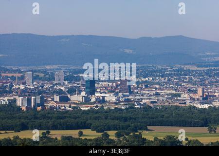 28 May 2026, Baden-Württemberg, Stuttgart: Pelicans sunbathe in their ...