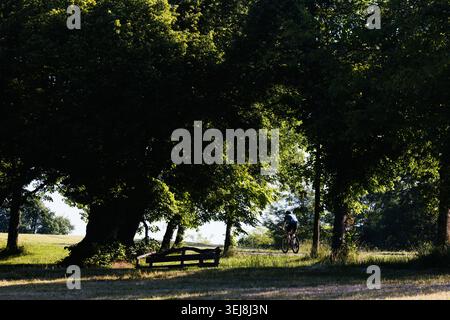 28 May 2026, Baden-Württemberg, Stuttgart: Pelicans sunbathe in their ...