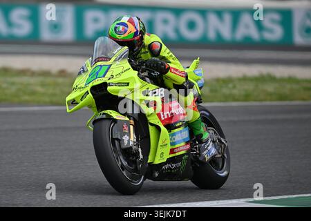 21 MORBIDELLI Franco (ita), Pertamina Enduro VR46 Racing Team, Ducati ...