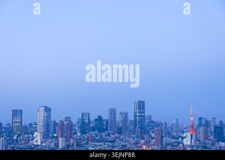 Tokyo skyline at blue hour with illuminated city buildings and Tokyo ...
