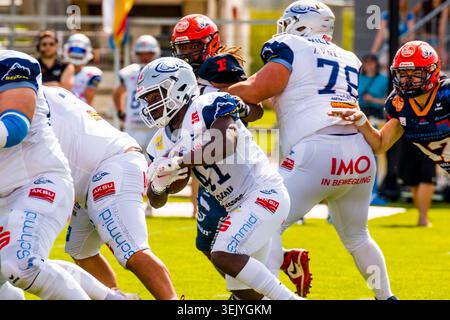 effect ENERGY GFL / German Football League, Pforzheim Wilddogs – Allgäu ...