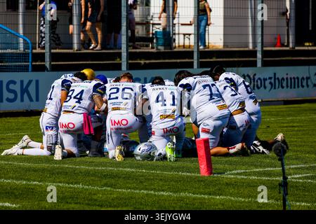 effect ENERGY GFL / German Football League, Pforzheim Wilddogs – Allgäu ...