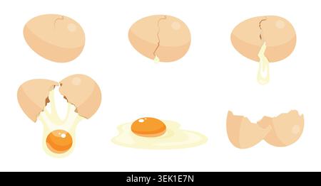 Egg carton illustration showing fresh farm eggs for cooking and baking ...