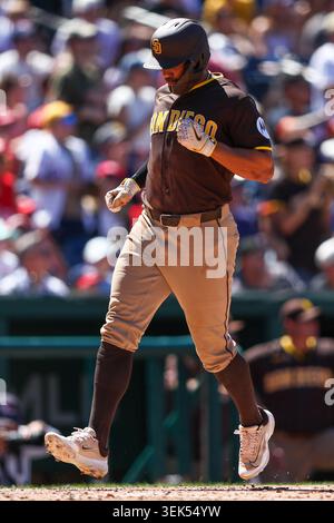 San Diego Padres shortstop Xander Bogaerts looks on before a baseball ...