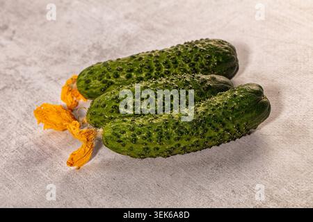 Three bumpy green cucumbers arranged diagonally with attached yellow ...