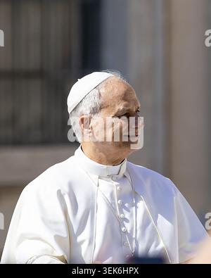 Pope Leo XIV during the solemn mass to celebrate the feast of Saint ...