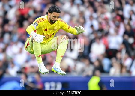 David Raya of Arsenal during the Paris Saint-Germain v Arsenal UEFA ...