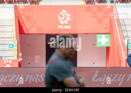 Warsaw, Poland. 2 June 2026. Logo of Nigerian football federation seen ...