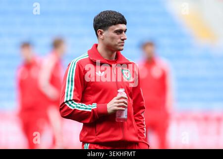 Cardiff, Wales, 2nd June 2026. Wales players line up during the Wales ...