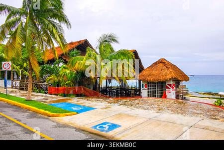 Cozumel Quintana Roo Mexico 08. July 2024 Massive luxury liner anchored ...