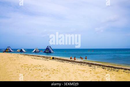 Cozumel Quintana Roo Mexico 09. July 2024 White sand palm beach with ...