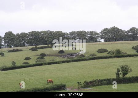 The scene in Sourton Down, near Okehampton in Devon, where a Royal Navy ...