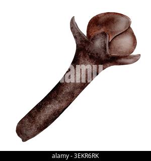 Cloves, a spice, watercolor illustration. Food clip art. A bud of a ...