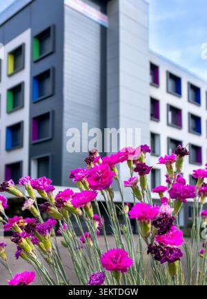 Dijon, France, June 9, 2026. Facade of Musée des Beaux-Arts de Dijon. A ...