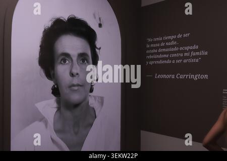 A portrait of Leonora Carrington is seen during a tour of the immersive ...