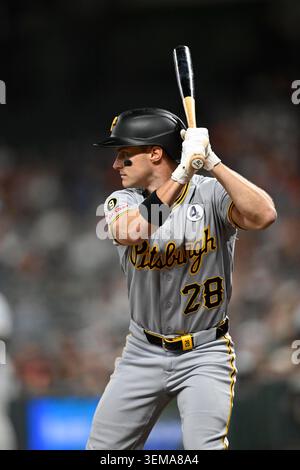 Pittsburgh Pirates' Jake Mangum, left, Billy Cook (25) and Esmerlyn ...
