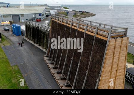 The new salt graduation tower (right) at Blackthorn Salt on the coast ...