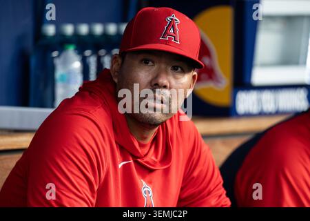 Los Angeles Angels manager Kurt Suzuki (8) against the Arizona ...