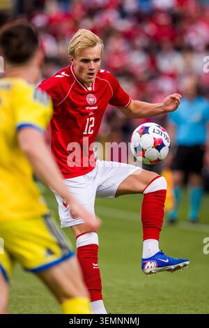 Odense, Denmark. 07th June, 2026. Goalkeeper Andreas Jungdal of Denmark ...