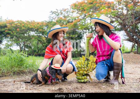 Woman banana dog farm rural smile hat fruit harvest tropical Asian ...
