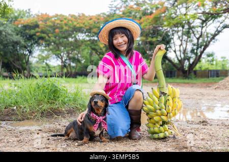 Woman banana dog farm rural smile hat fruit harvest tropical Asian ...