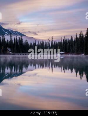 Misty Fog in Pine Forest on Mountain Slopes Stock Photo - Alamy