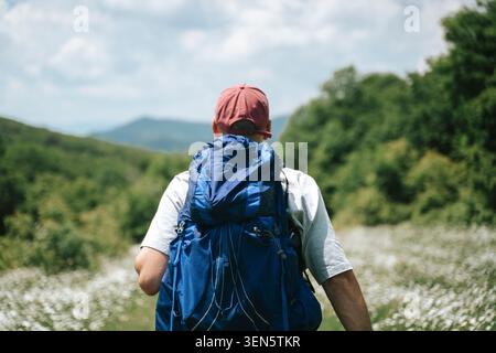 Hiker walking through a beautiful chamomile field in the mountains ...