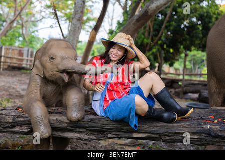 Woman elephant forest hat log travel nature friendship sitting smiling ...