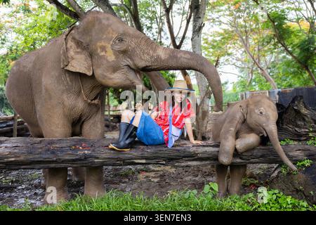Elephant, woman, traveler, sanctuary, forest women sitting near ...