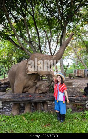 Elephant woman calf forest feeding pink shirt hat animal care travel ...