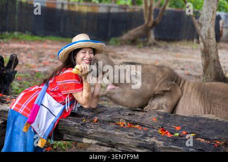 Elephant, woman, calf, straw hat, forest, pink shirt, gentle ...