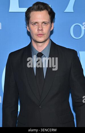Bill Skarsgard at the world premiere of the feature film 'The Death of ...