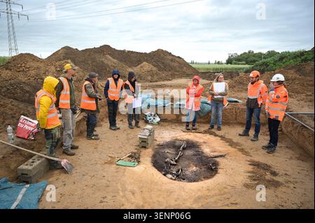 23 June 2026, Saxony-Anhalt, Magdeburg: Ulrich Siegmund (front, AfD ...