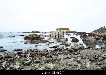 Scenery at Glass Beach in Fort Bragg, California, April 6, 2026. (Photo ...