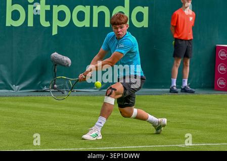Halle, Deutschland. 13th June, 2026. Nikoloz Basilashvili (Georgien ...