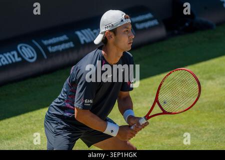 Stuttgart, Deutschland. 13th June, 2026. Taylor Fritz, Jubel, Freude ...