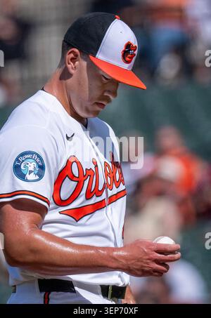 Baltimore Orioles pitcher Trey Gibson throws during the first inning of ...