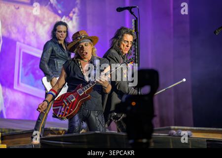 Alice Cooper Istanbul Concert 2026 Lifepark 13.06.2026 Stock Photo - Alamy