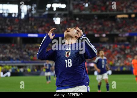 Arlington, USA. 14th June, 2026. Virgil van Dijk (Netherlands) gestures ...