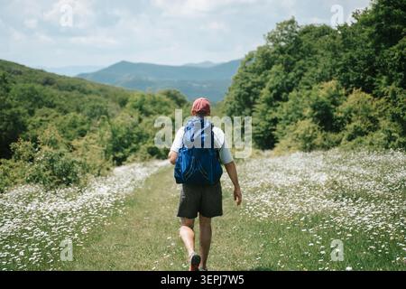 Hiker walking through a beautiful chamomile field in the mountains ...