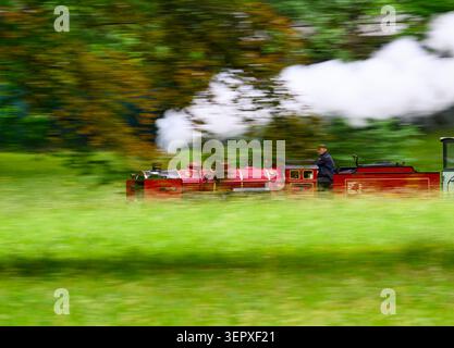 13 June 2026, Saxony, Dresden: The Moritz steam locomotive of the ...