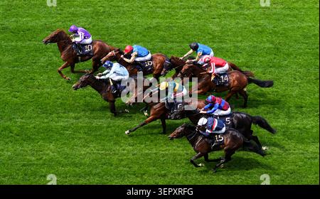 Great Barrier Reef ridden by Wayne Lordan (10) on their way to winning ...