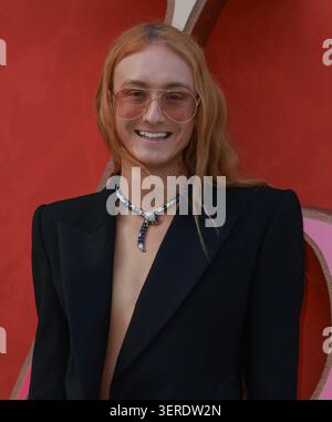 Harris Reed attends the V&A Summer Party 2026 held at the V&A Museum ...
