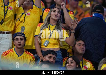 Colombians support the Colombia national team during the FIFA World Cup ...