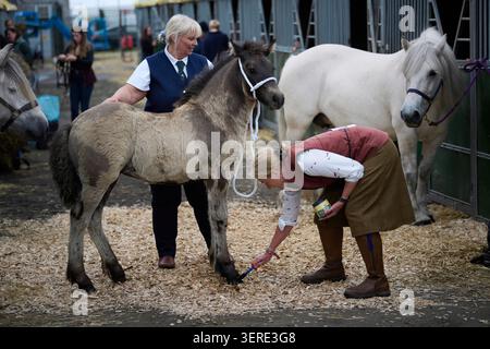 Edinburgh Scotland, UK 18 June 2026. The Royal Highland Show annual ...