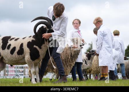 Lacey Holden, 10, from Spilsby with her Lincoln Longhorn sheep as they ...